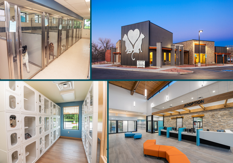 Animal Shelter Design Ideas