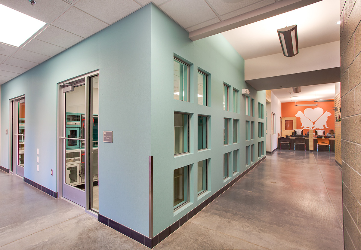 BDA Architecture Animal Shelters